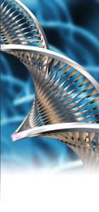 Overview – Roka Bio Science